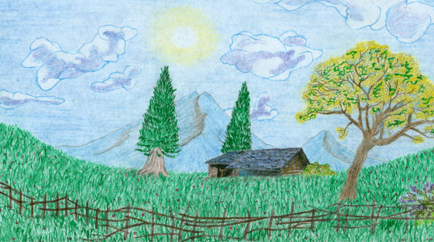 Majid experience | mahak charity